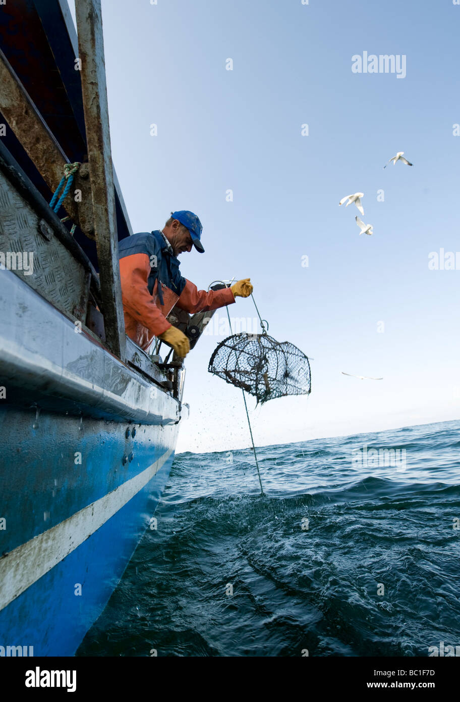 crayfish fishing with pots, Sweden Stock Photo - Alamy