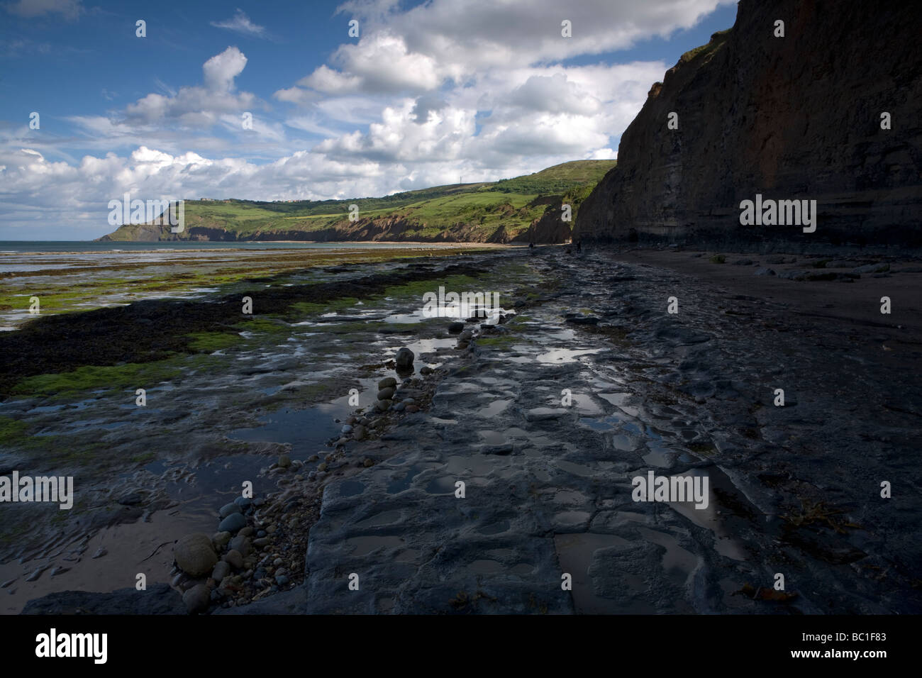 The beach and cliffs at Ravenscar on the North Yorkshire Coast from ...
