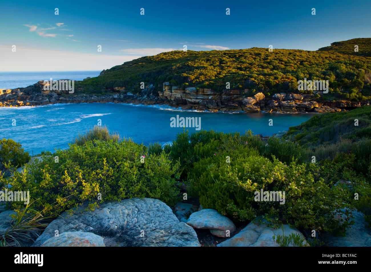 Coast track royal national park hi-res stock photography and images - Alamy