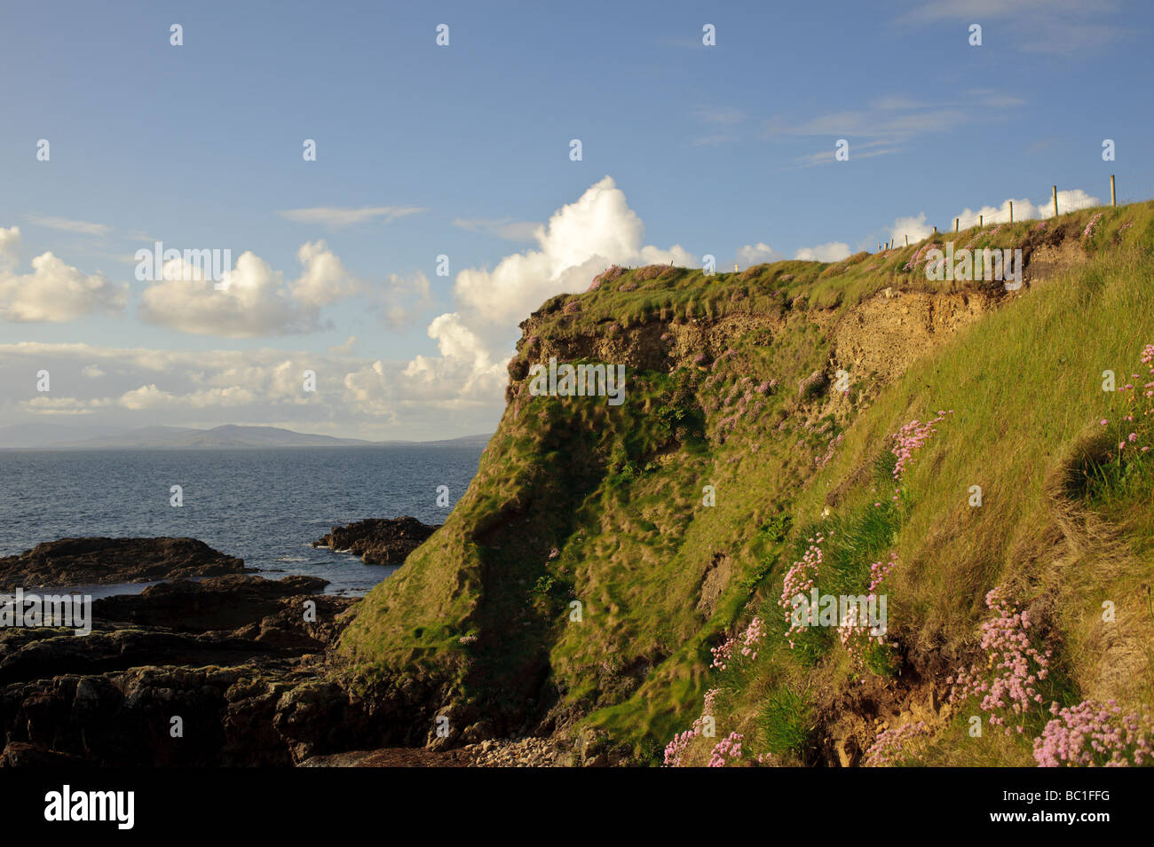 The flower covered cliffs at Roonagh Harbour where the ferry to Clare ...