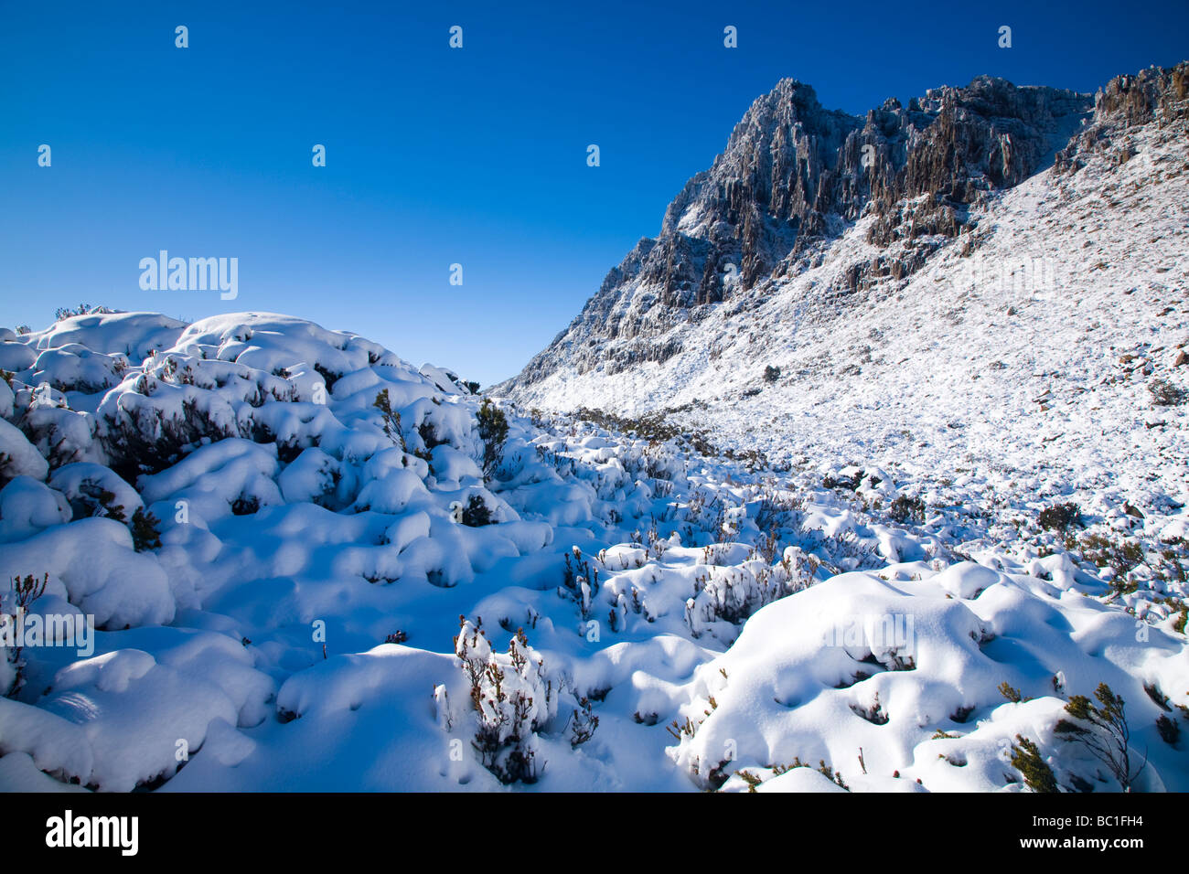 Australia Tasmania Cradle Mt Lake St Clair National Park Snow covered ...