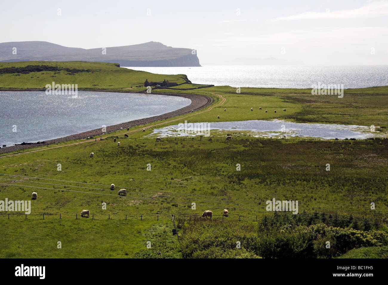 Ardmore hi-res stock photography and images - Alamy