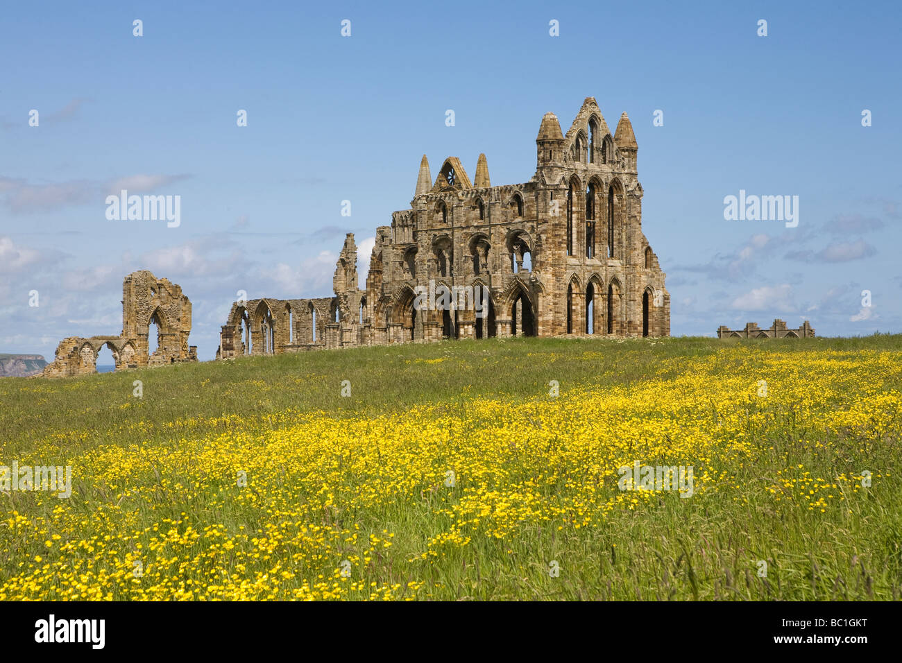 The ruins of Whitby Abbey, East Cliff, Whitby, North Yorkshire, England ...