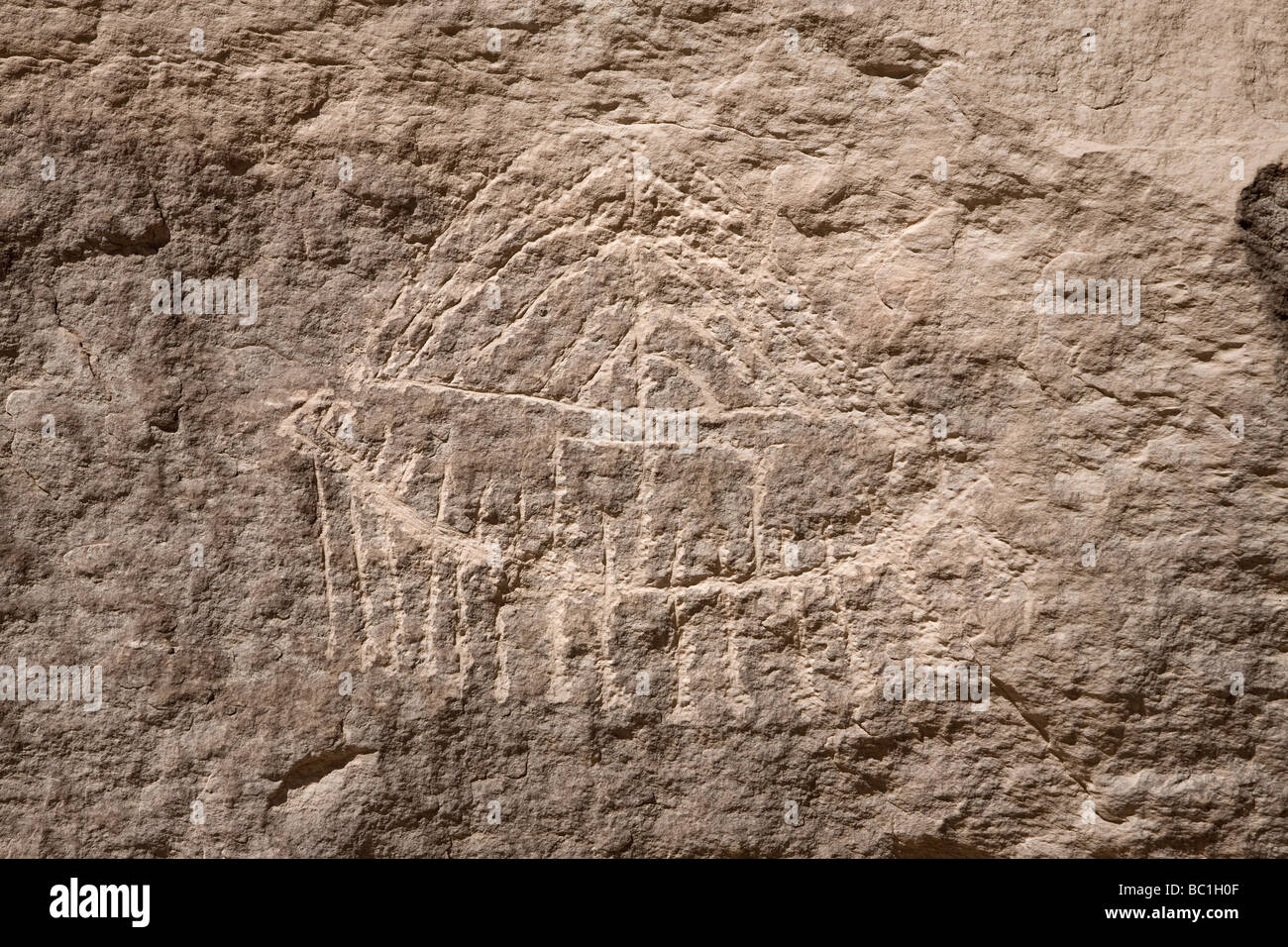 Rock-art of sickle-shaped boat with cabin and crew in Wadi Abad in the ...