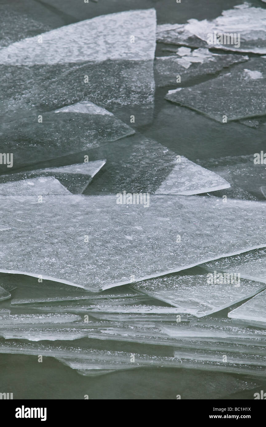 Thin ice sheets hi-res stock photography and images - Alamy