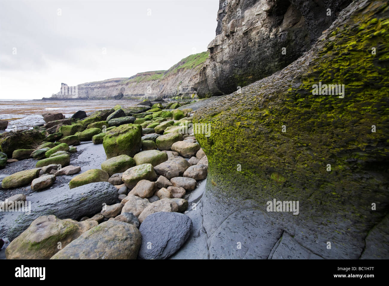 Low level cliff and beach details from the Whitby coastline showing ...