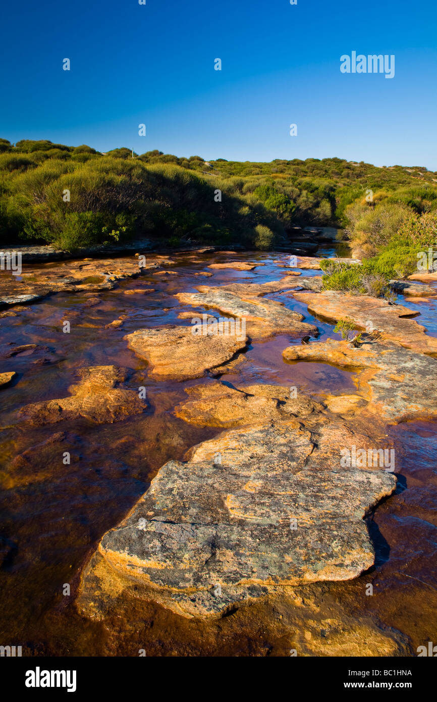 Coastal track royal national park hi-res stock photography and images ...
