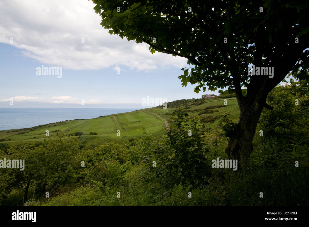 Cliff top view sea hi-res stock photography and images - Alamy