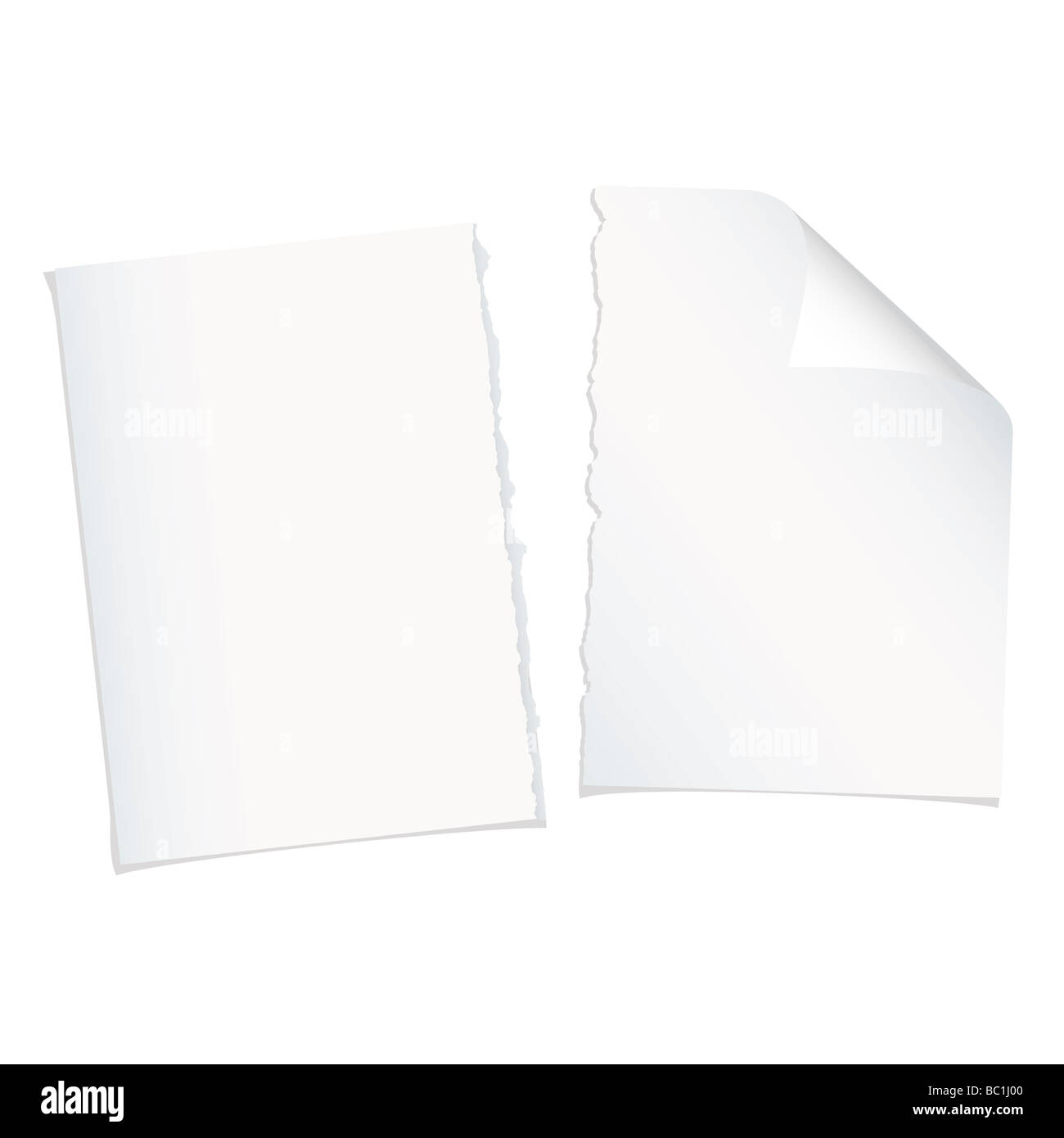 Single piece of white paper torn in half with shadow Stock Photo - Alamy