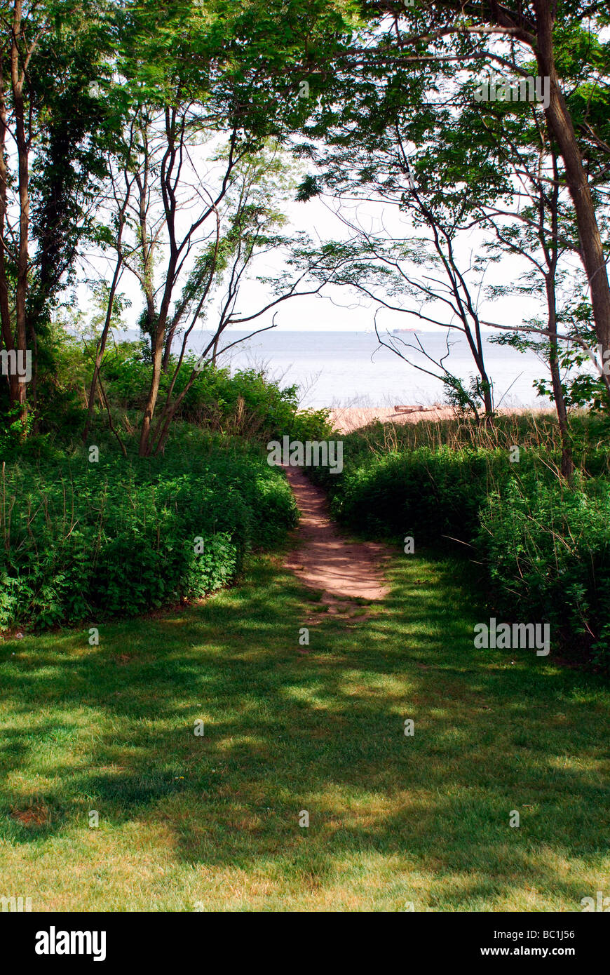shady secluded beach path through shrubs to the sand and ocean Stock ...