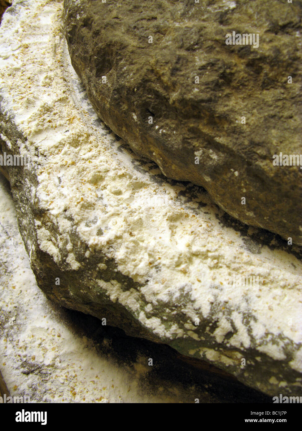 wheat flour grains and mill stone Stock Photo - Alamy