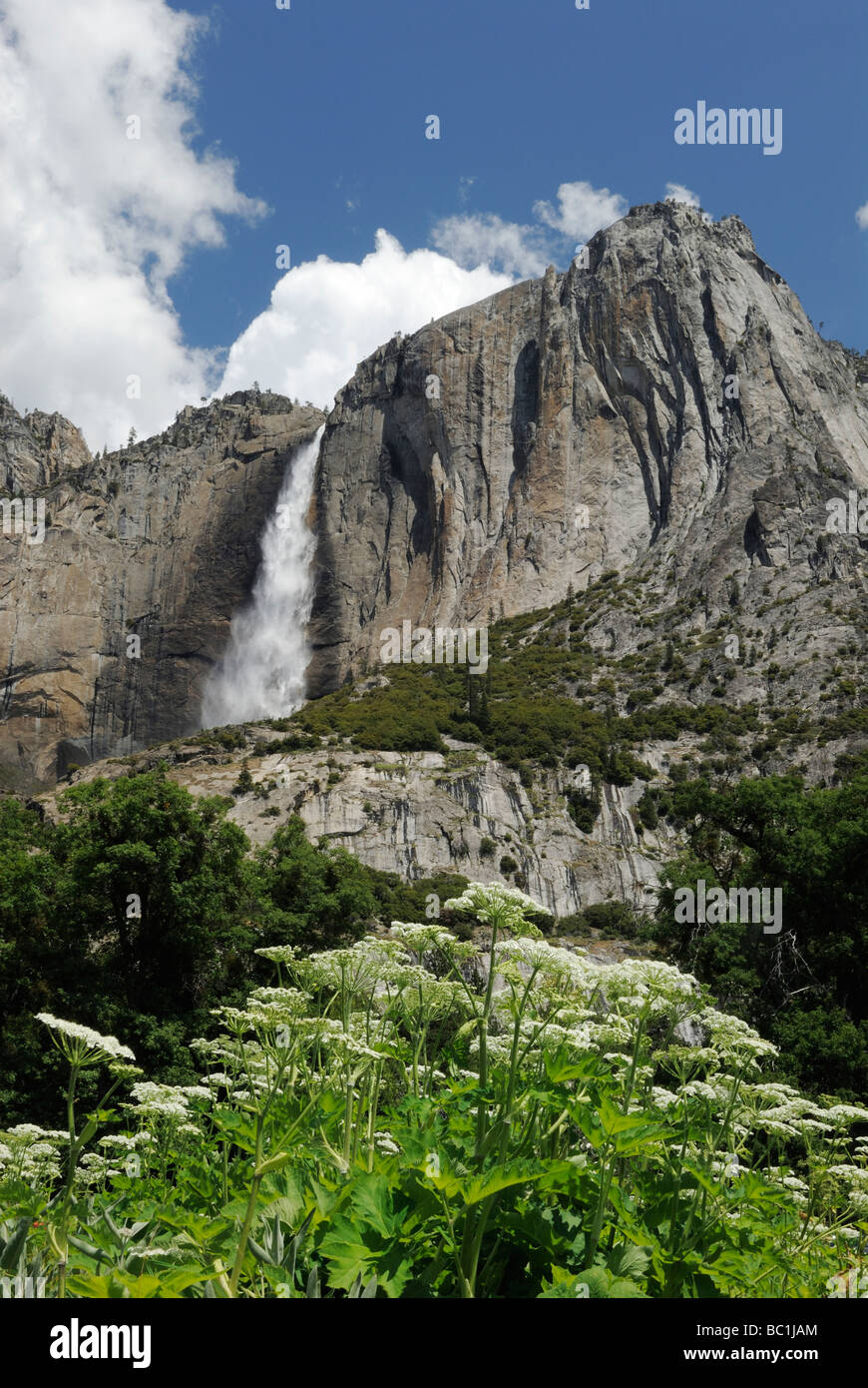 Yosemite Falls in spring Stock Photo - Alamy