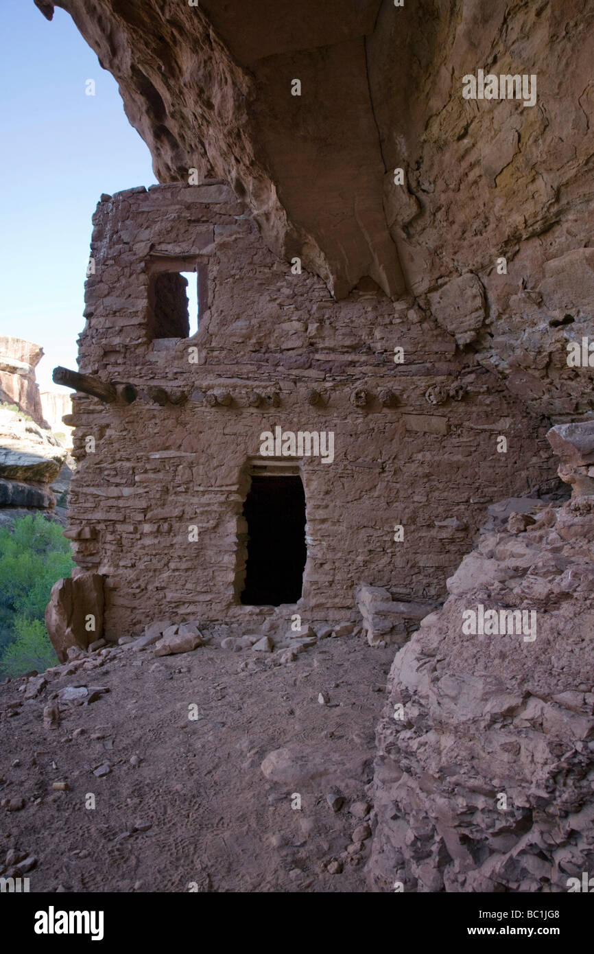 Prehistoric Anasazi cliff dwelling in Grand Gulch Primitive Area in ...