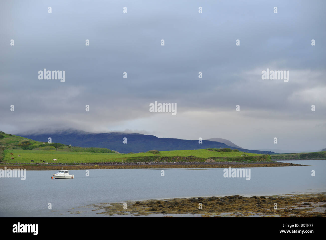 Clew bay under an overcast sky with Croagh Patrick in background and ...