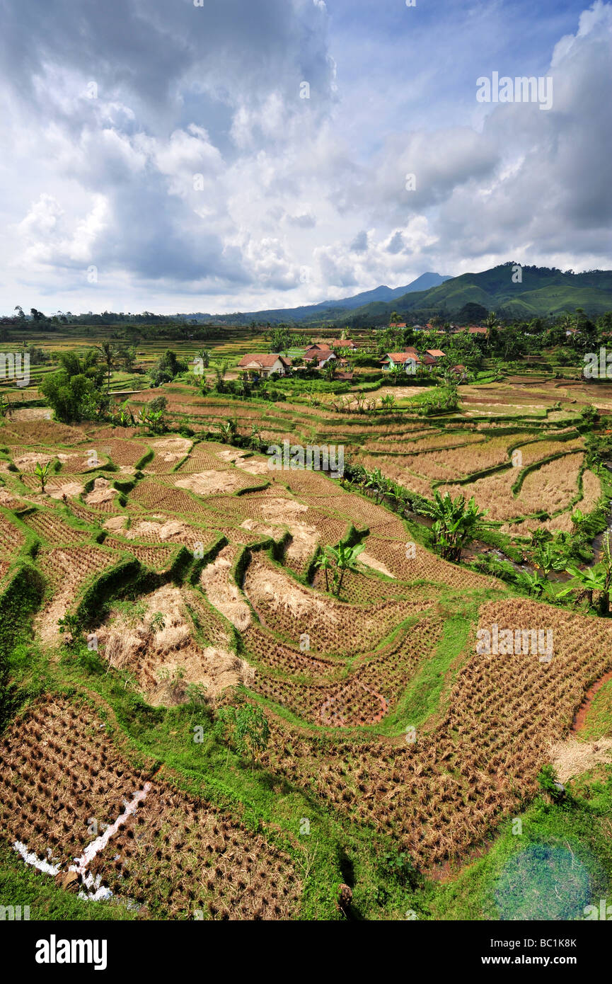 Rural indonesia village hi-res stock photography and images - Alamy