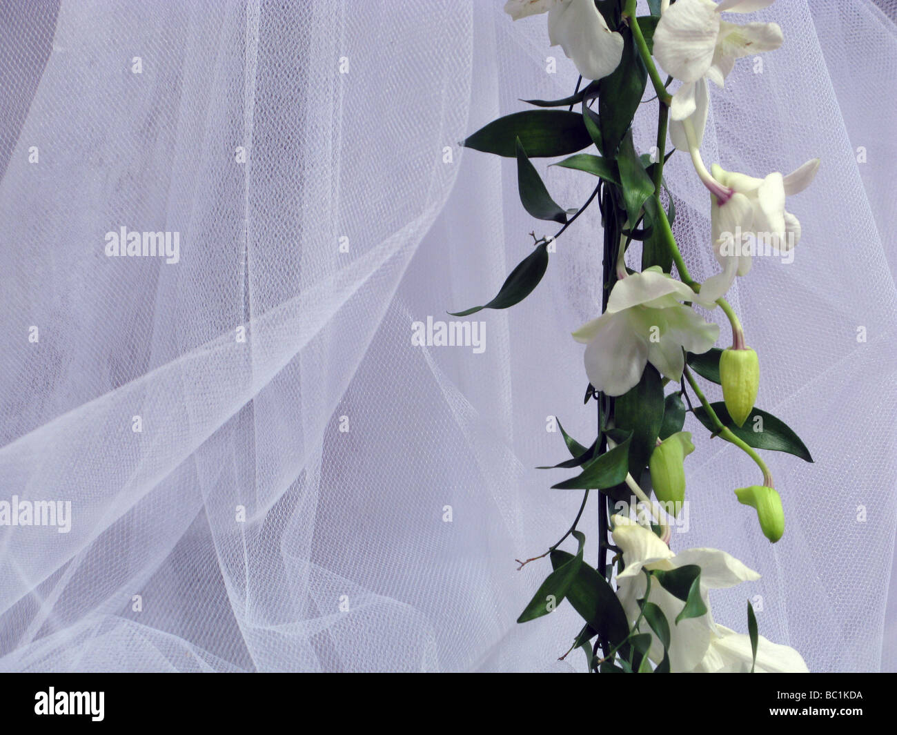decorated wedding aisle inside church in rome italy Stock Photo - Alamy