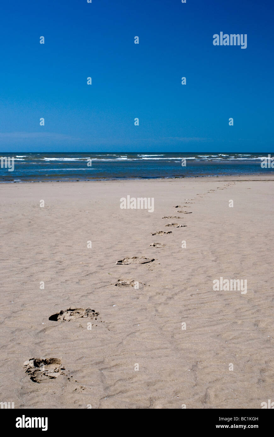 footsteps leading to the sea Stock Photo - Alamy