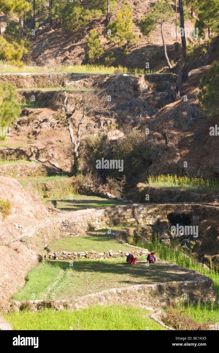 Rural India, Lower Himalayas,Kumaon Villagers, Villages, Ancient ...