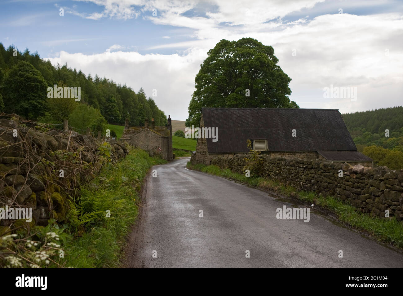 English country road in the York County countryside with a stone fence ...