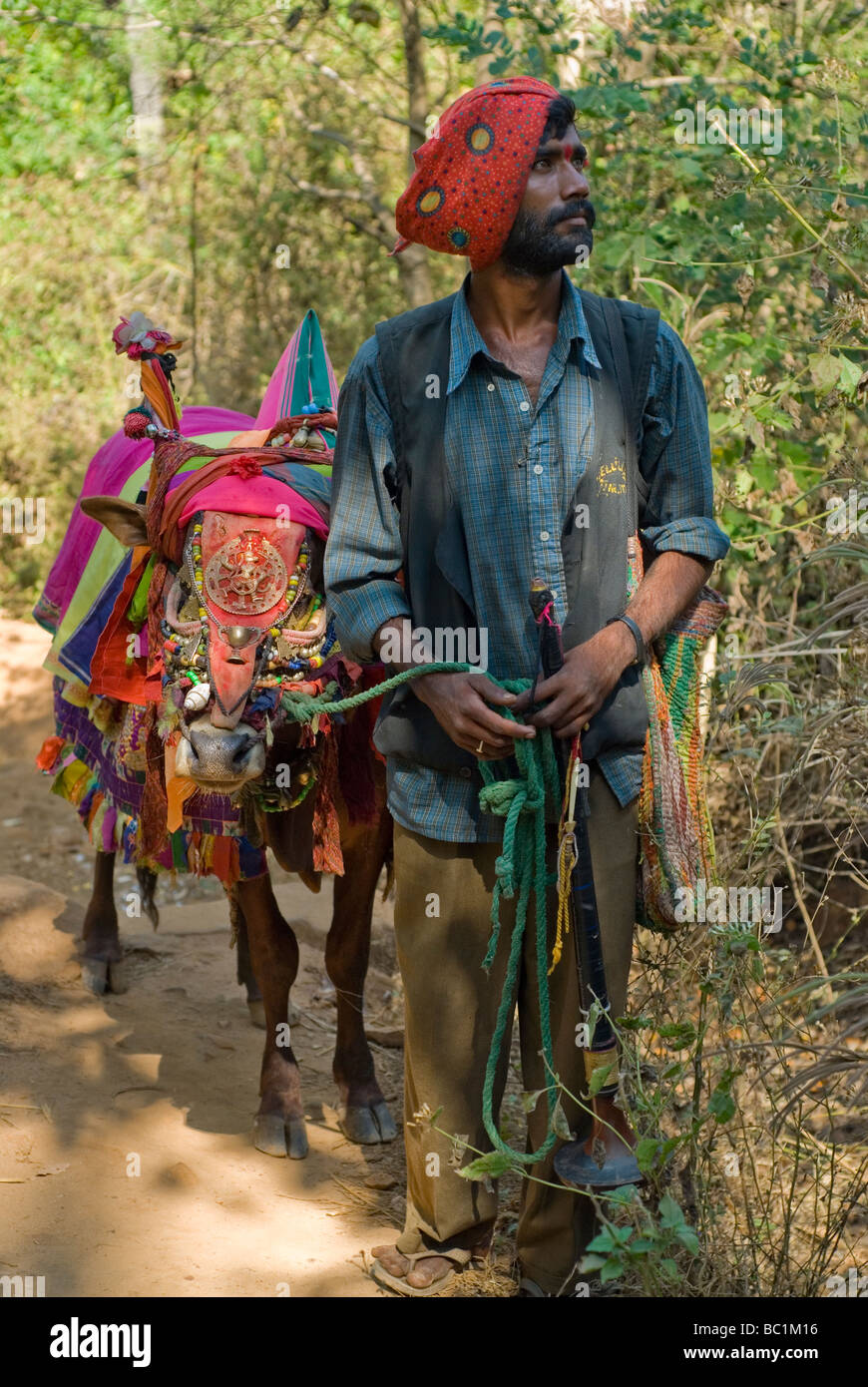 Man begging for alms with his"holi" cow. Palolem beach, Goa, India ...