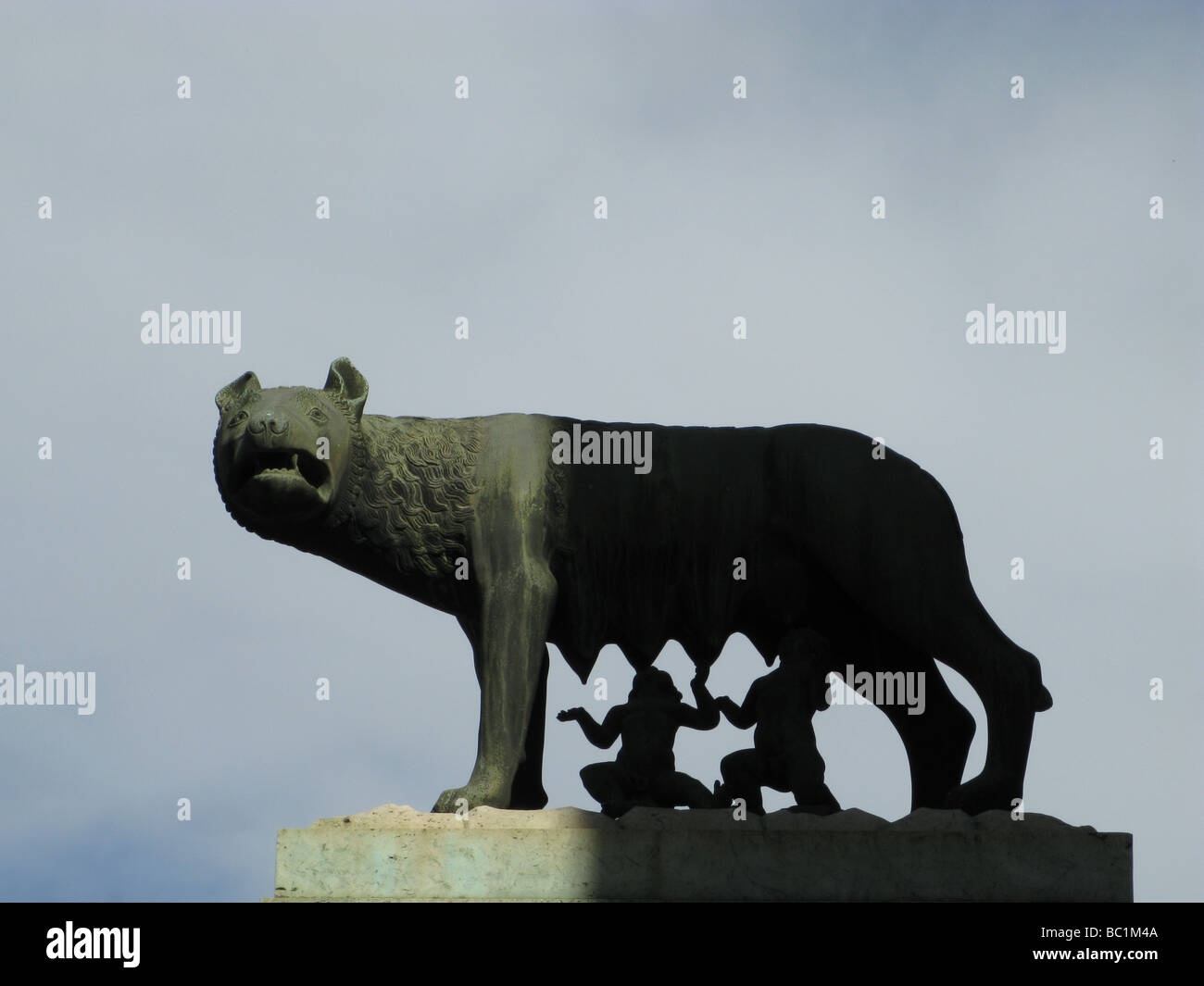 romulus and remus statue at the capitol hill in rome Stock Photo - Alamy