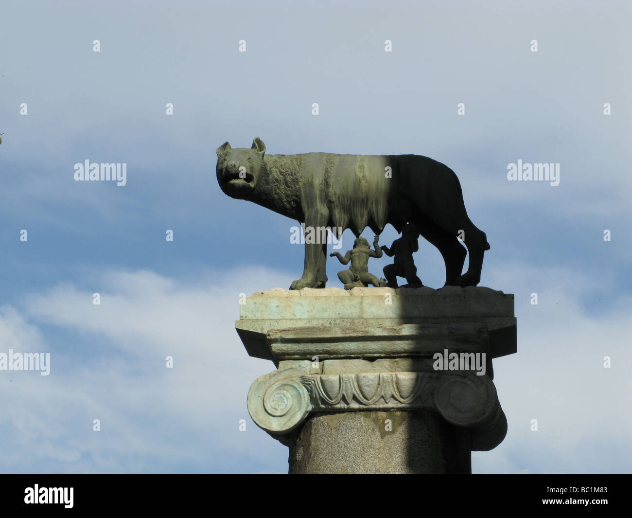 romulus and remus statue at the capitol hill in rome Stock Photo - Alamy