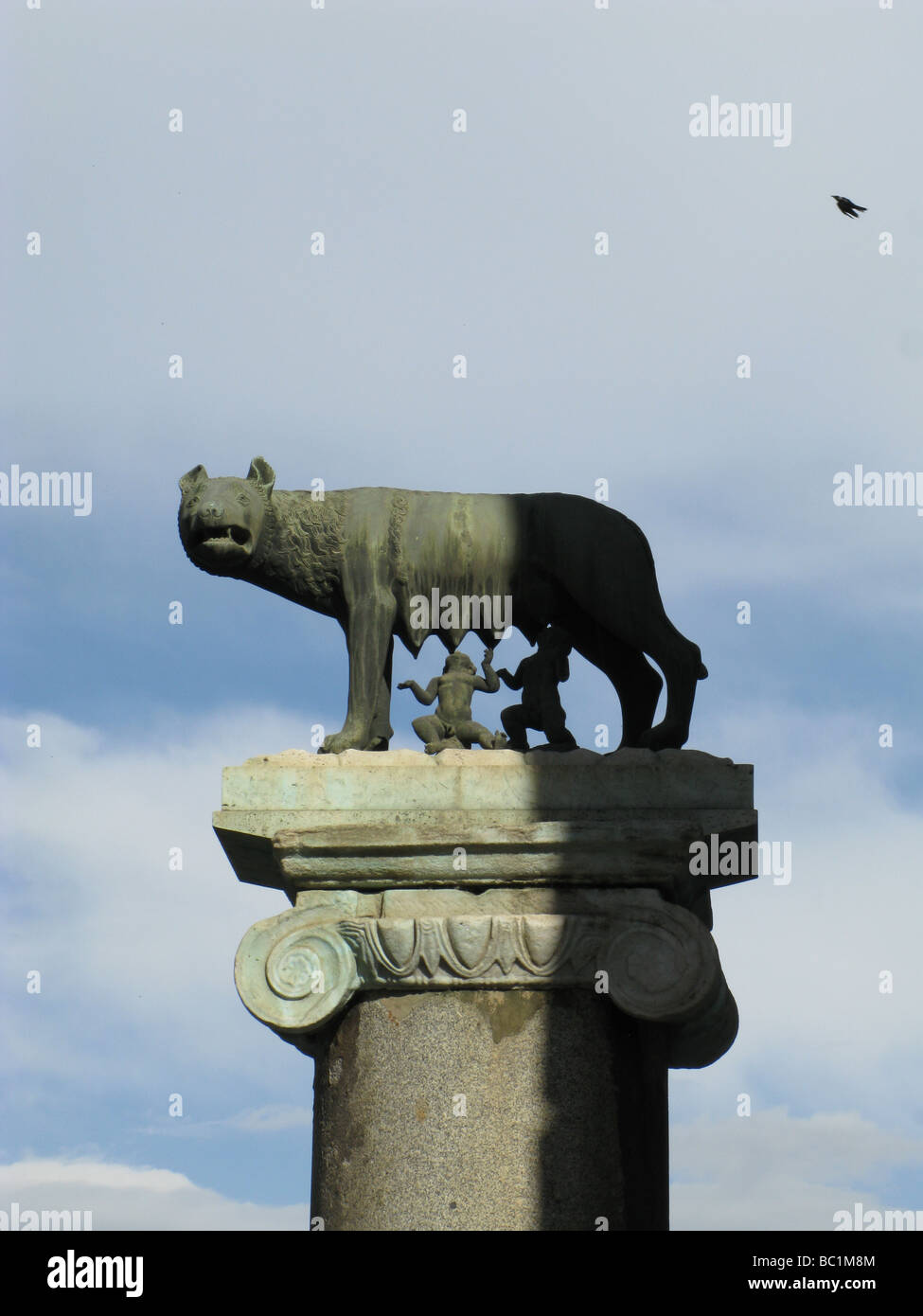 romulus and remus statue at the capitol hill in rome Stock Photo - Alamy