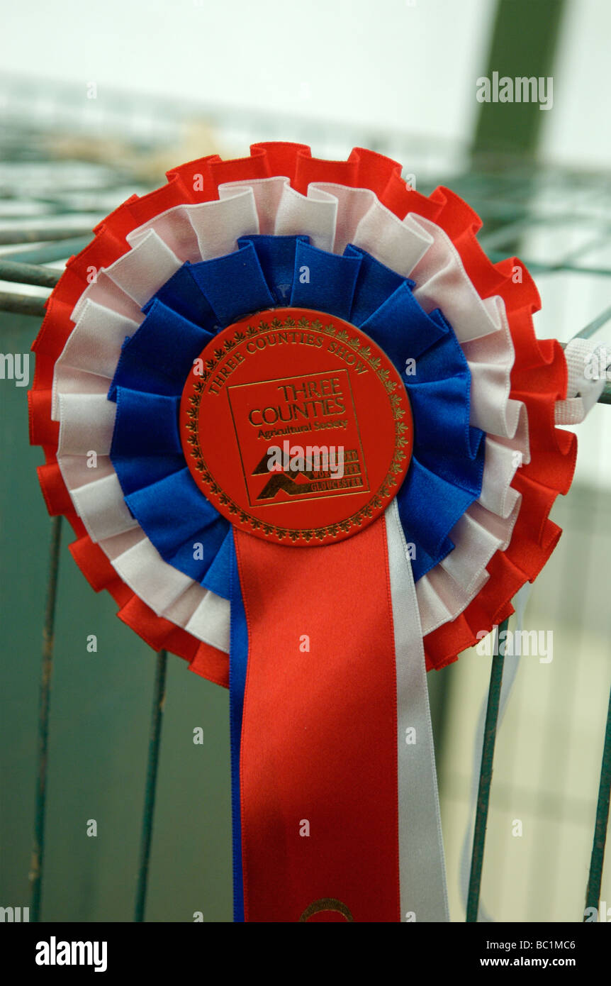 Show certificate hi-res stock photography and images - Alamy