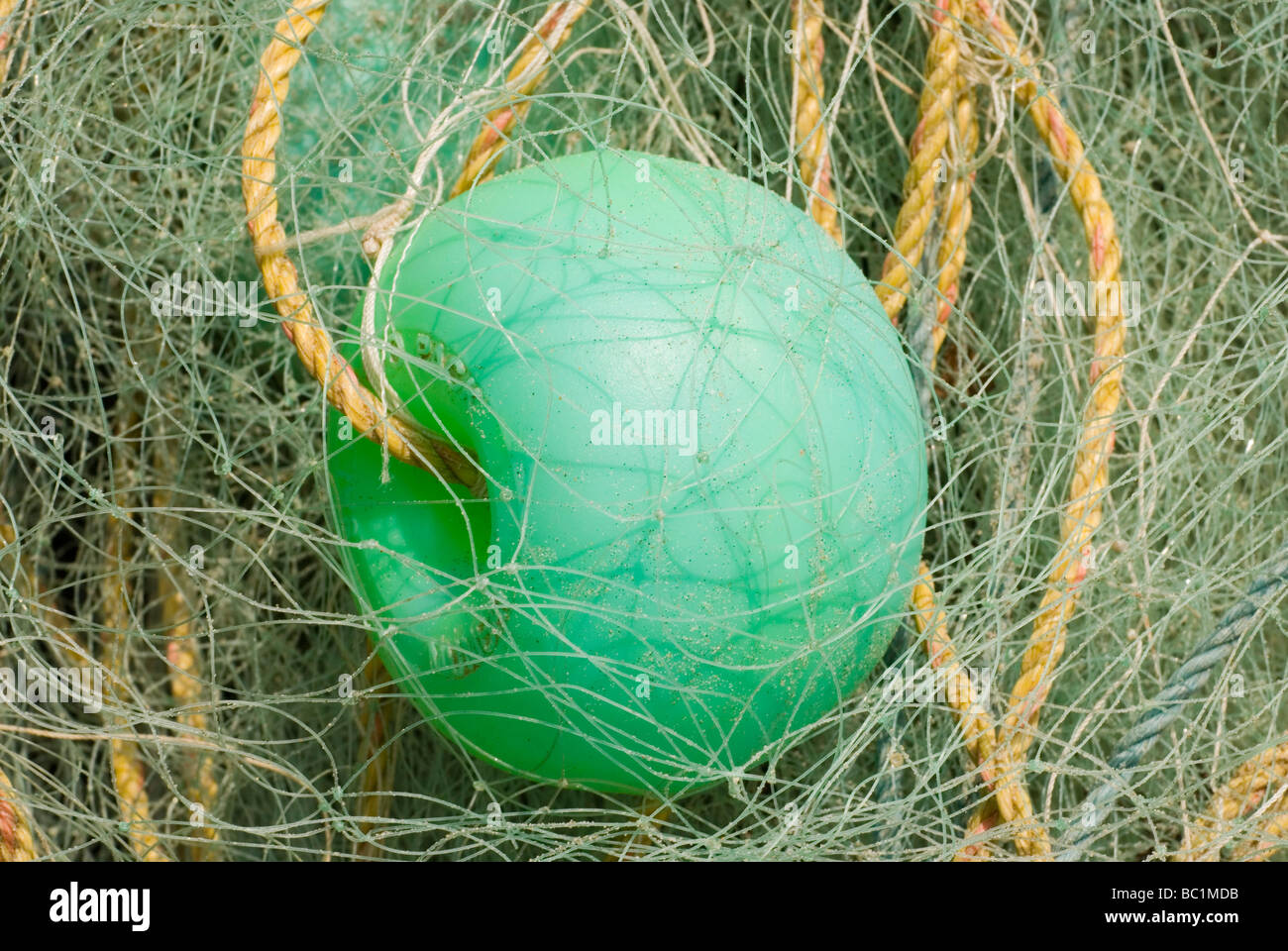 Fishing float (bob Stock Photo - Alamy