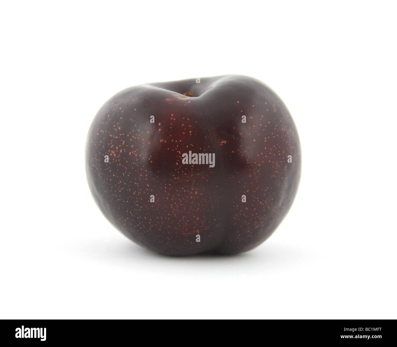 A single fresh plum Stock Photo - Alamy
