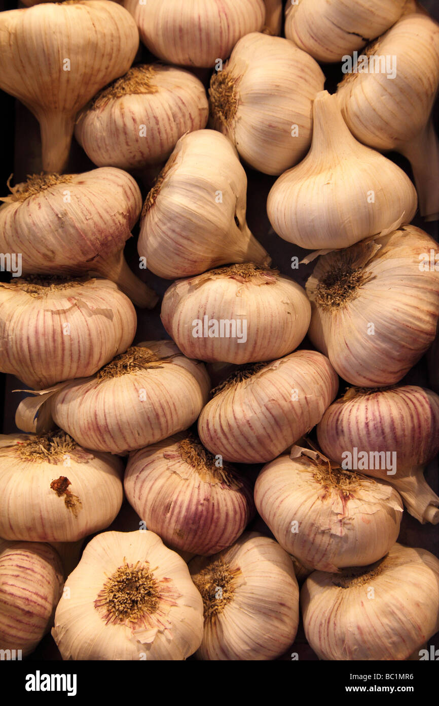 Garlic heads displayed for sale La Boqueria Barcelona Catalunya Spain ...