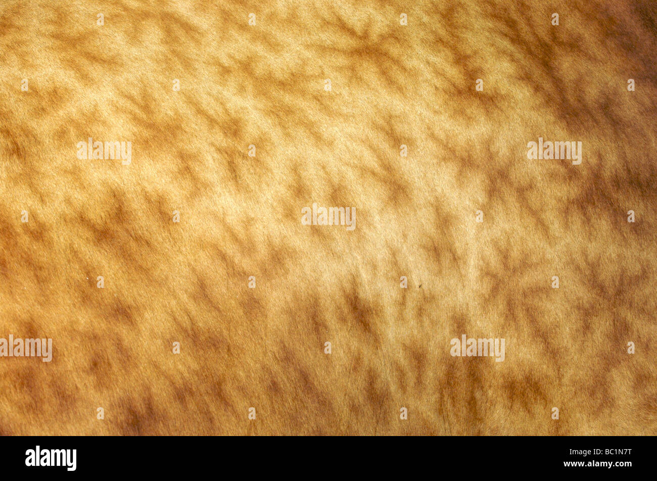 Patination hi-res stock photography and images - Alamy