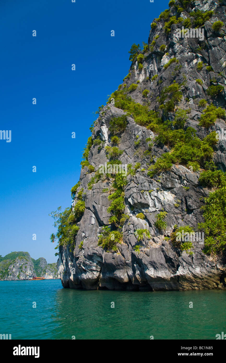 Vietnam Northern Vietnam Halong Bay Vegetation Covered Islands In