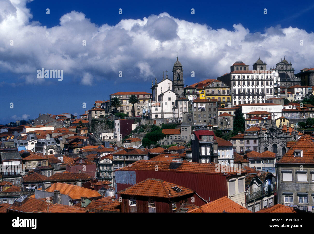 Rooftops architecture in the capital port city of Porto Portugal Europe ...