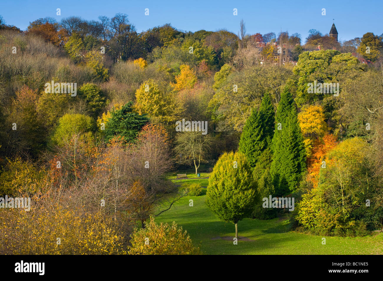 Newcastle tyne autumn trees jesmond dene park hi-res stock photography ...