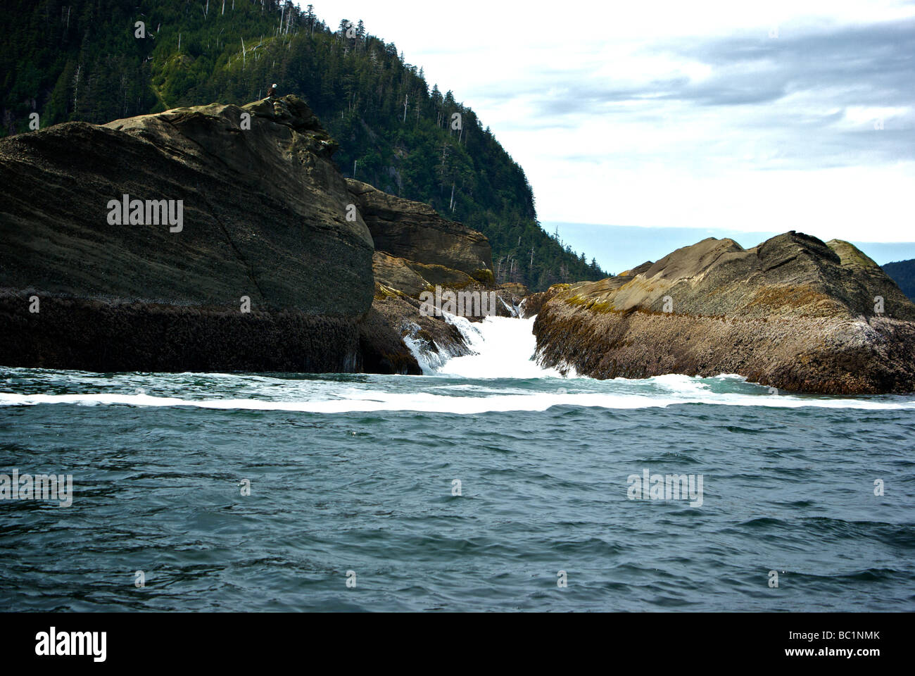 Hippa hi-res stock photography and images - Alamy