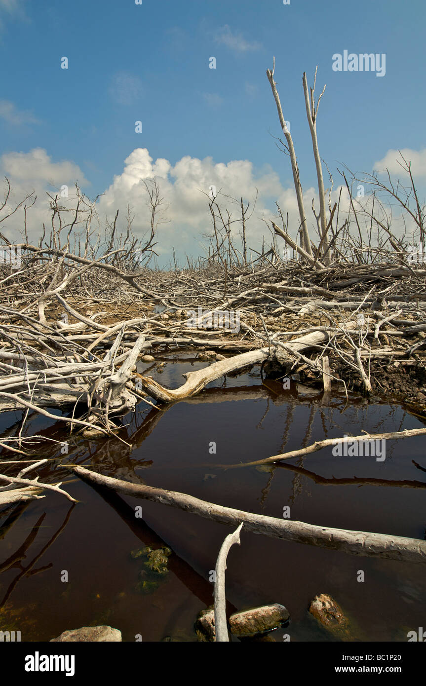 Hurricane damage. Hurricanes regularly bring devastation to Cuba. Pinar ...