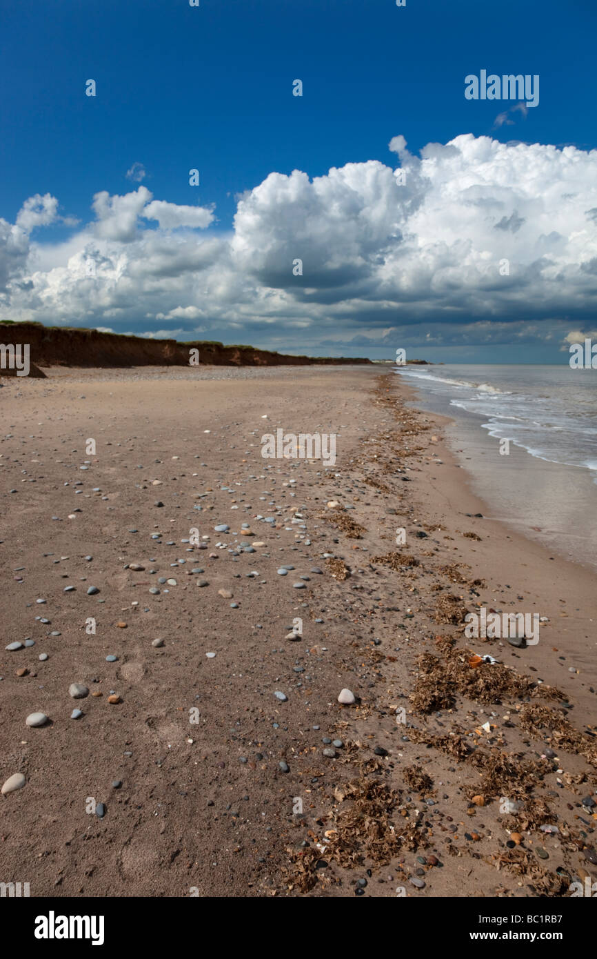 Spurn nature reserve kilnsea hi-res stock photography and images - Alamy