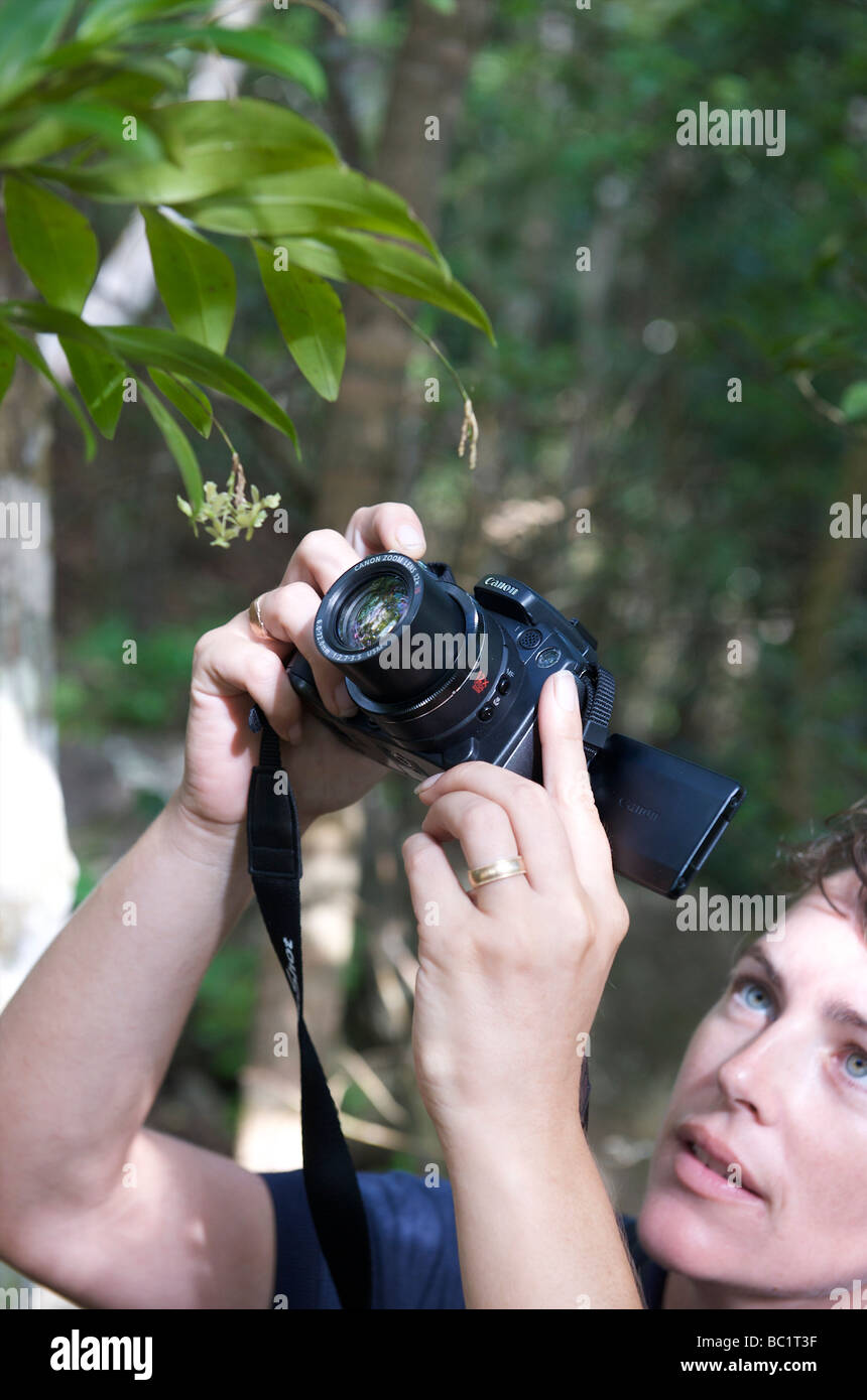 The quill statia hi-res stock photography and images - Alamy