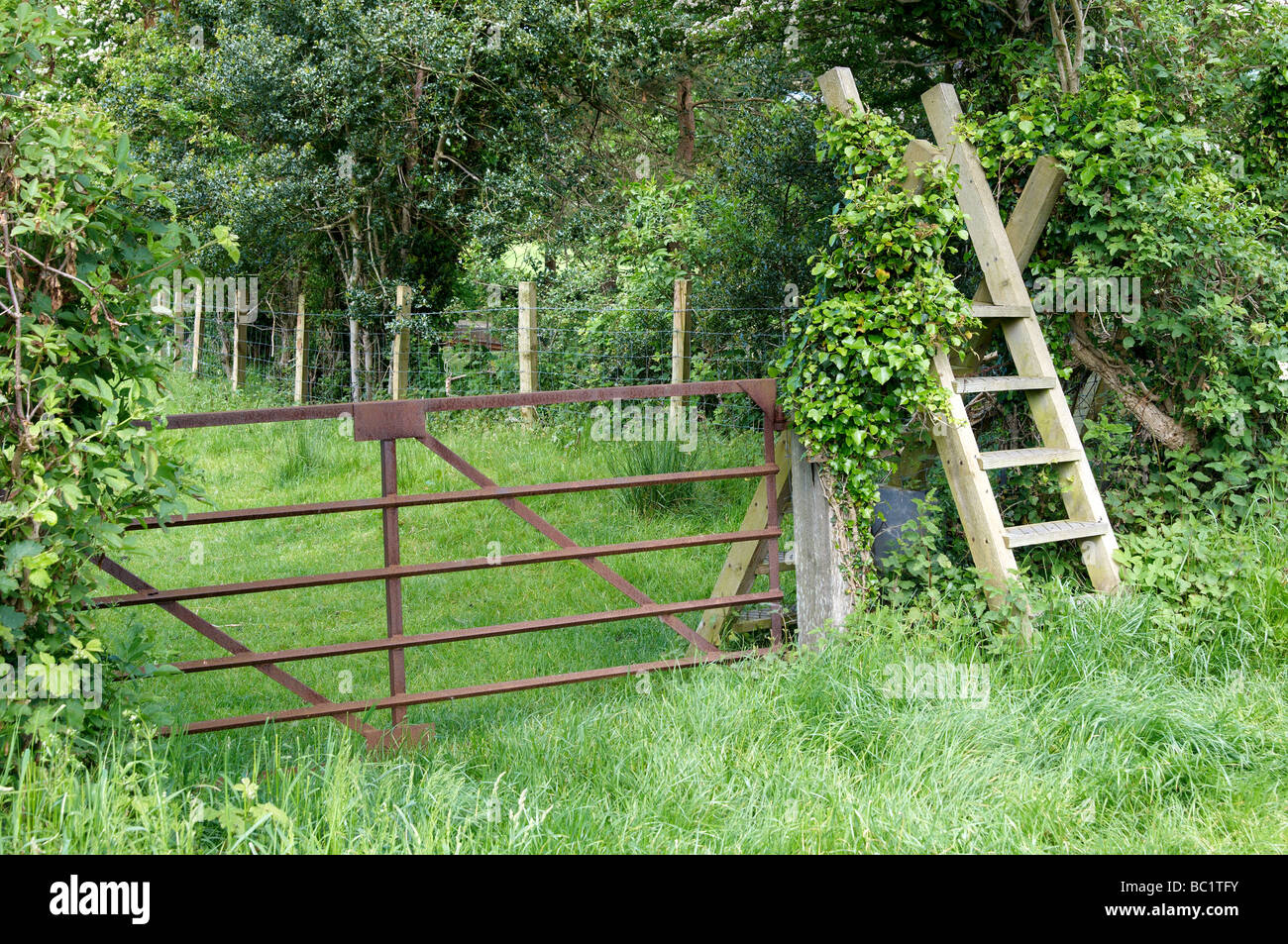 Ladder stile hi-res stock photography and images - Alamy