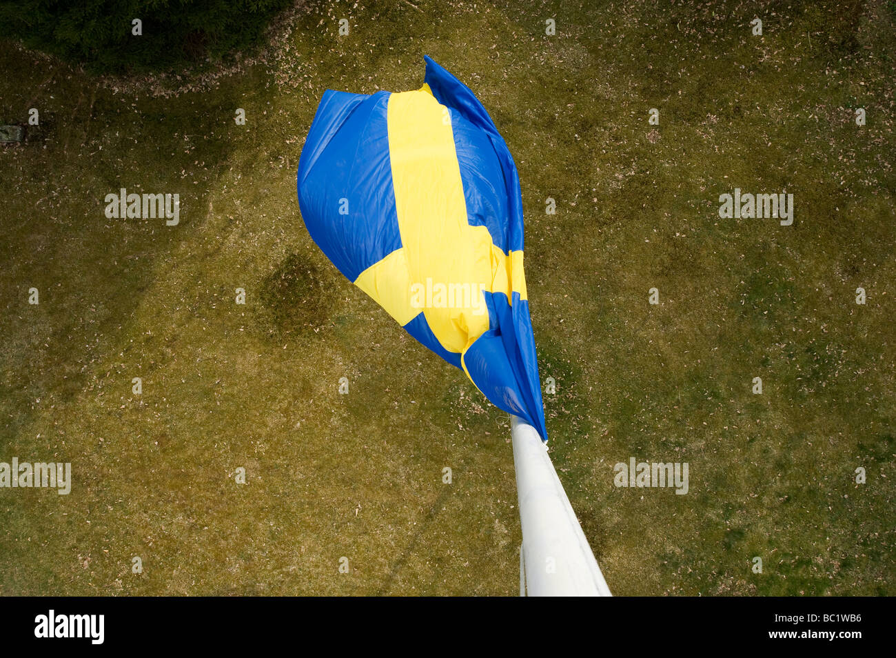 Man swedish flag hi-res stock photography and images - Alamy