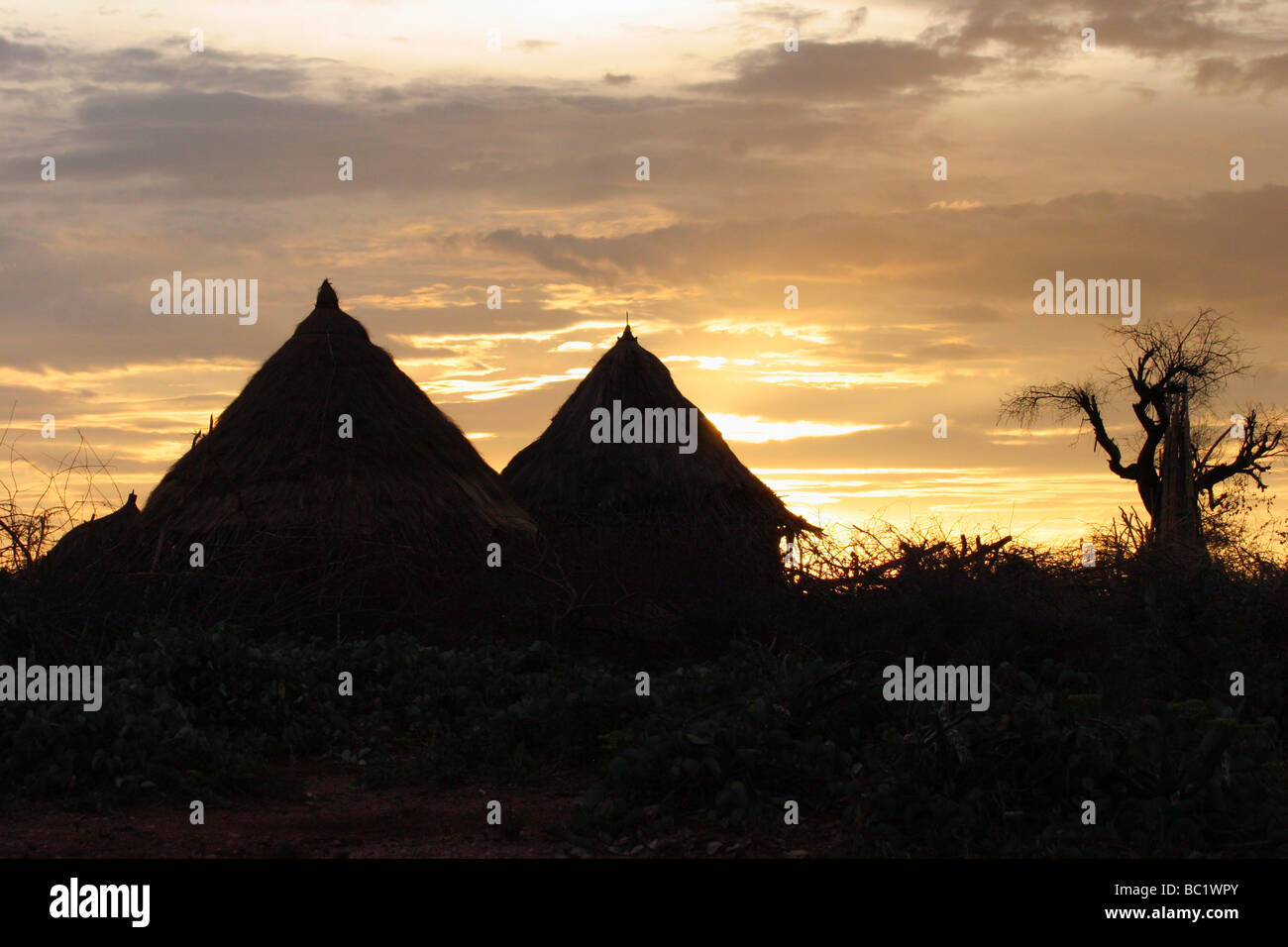 Africa Ethiopia Omo River Valley Hamer Tribe silhouette of huts at ...