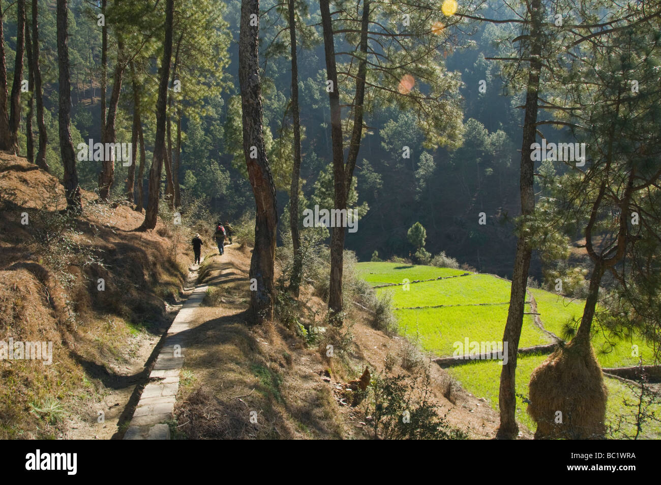 Rural India, Lower Himalayas,Kumaon Villagers, Villages, Ancient ...