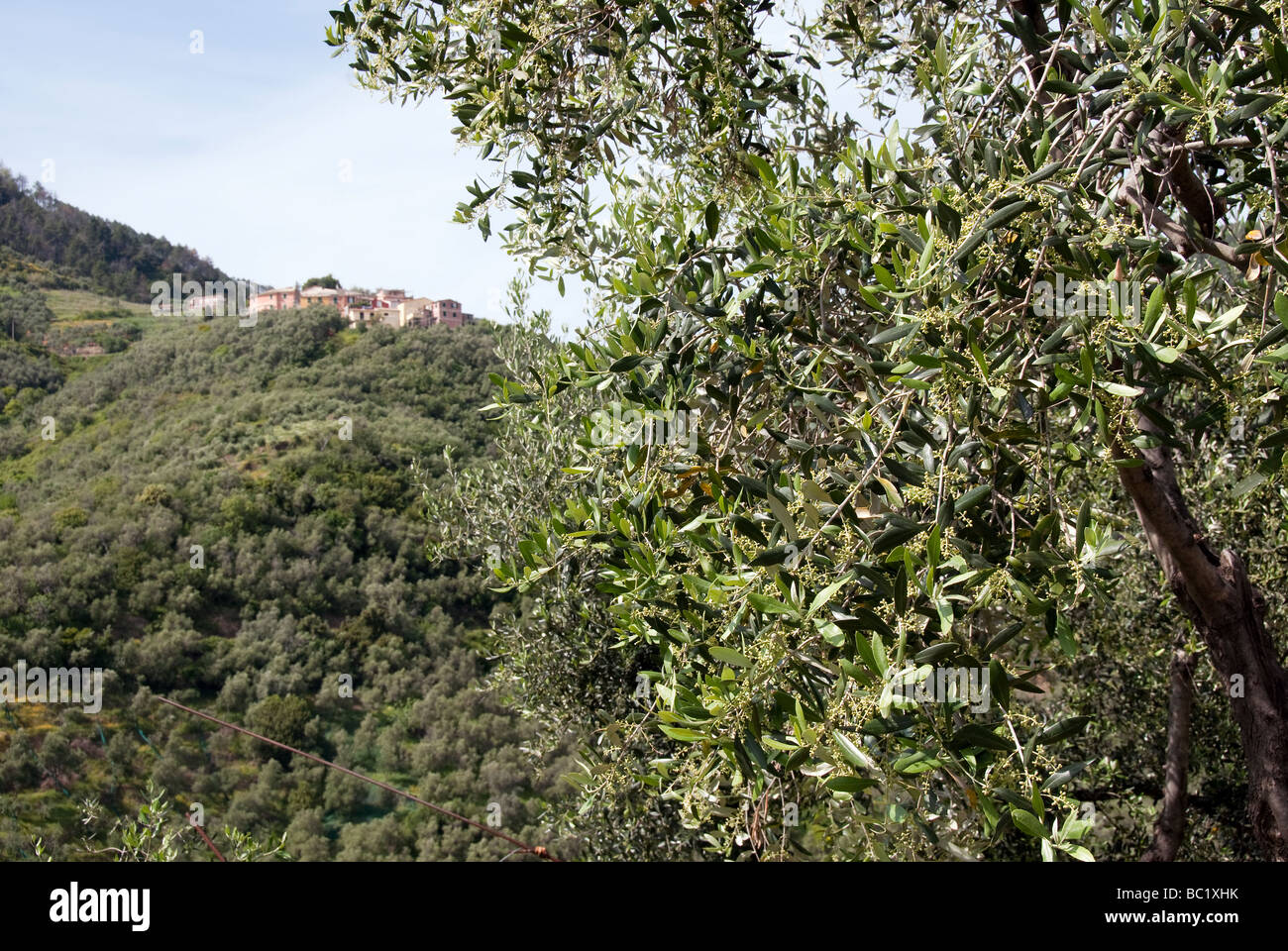 5 towns of the cinque terre in italy hi-res stock photography and ...