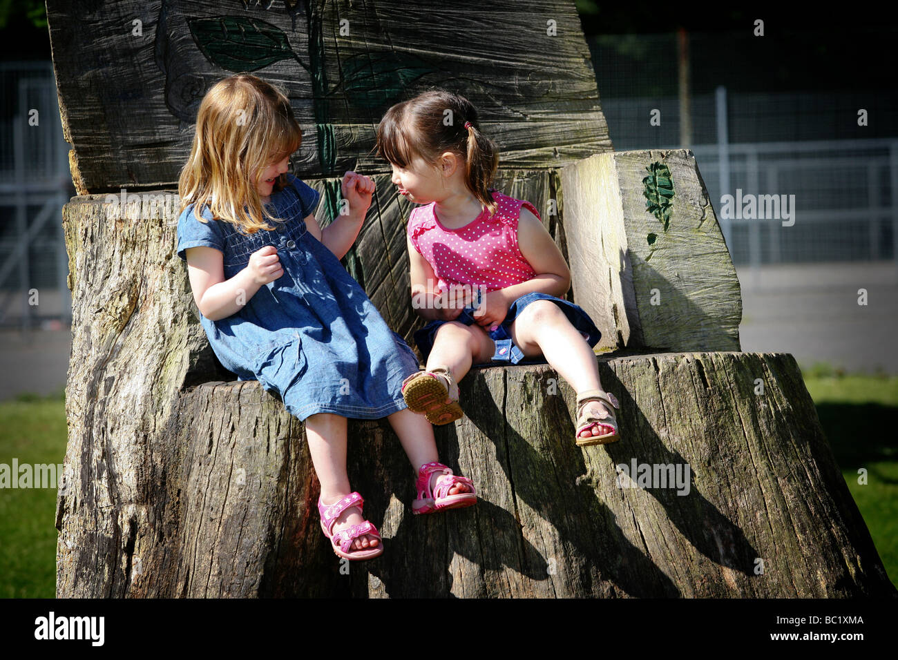 Two 3 year old preschool toddlers friends sitting in old tree trunk ...