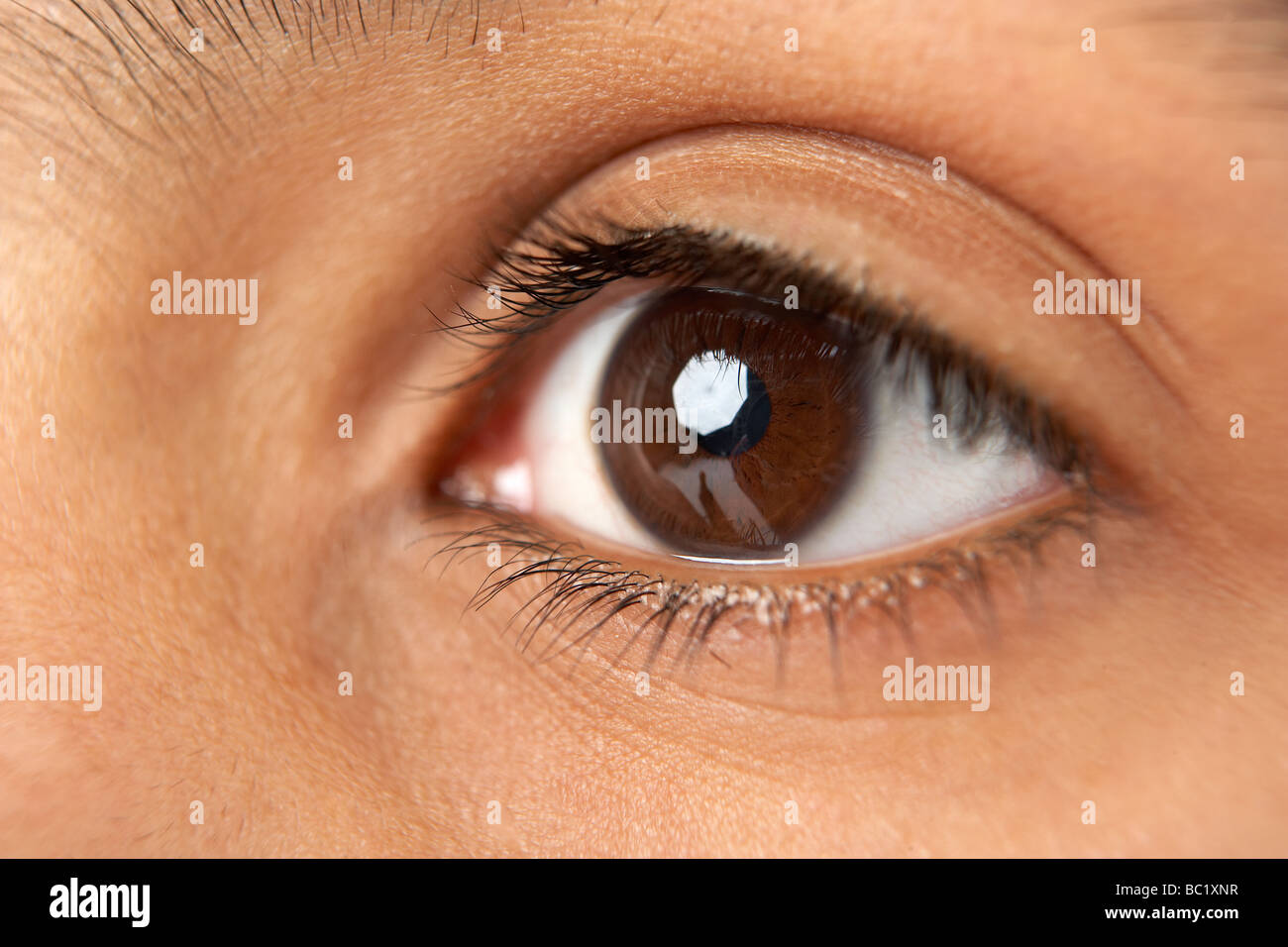Close-Up Of Young Boy's Eye Stock Photo - Alamy