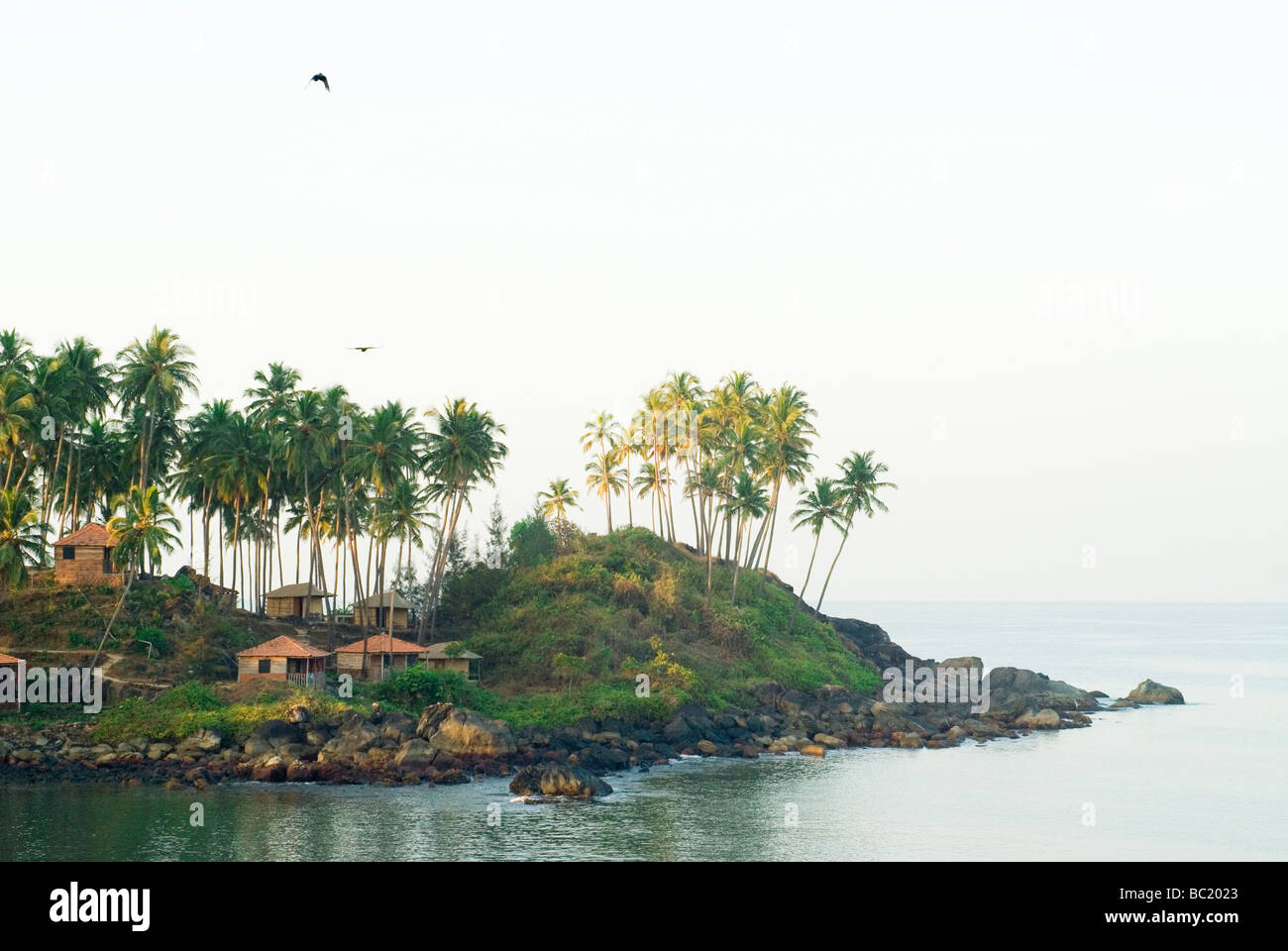 Lagoon in the jungle. Palolem beach, Goa, India Stock Photo - Alamy
