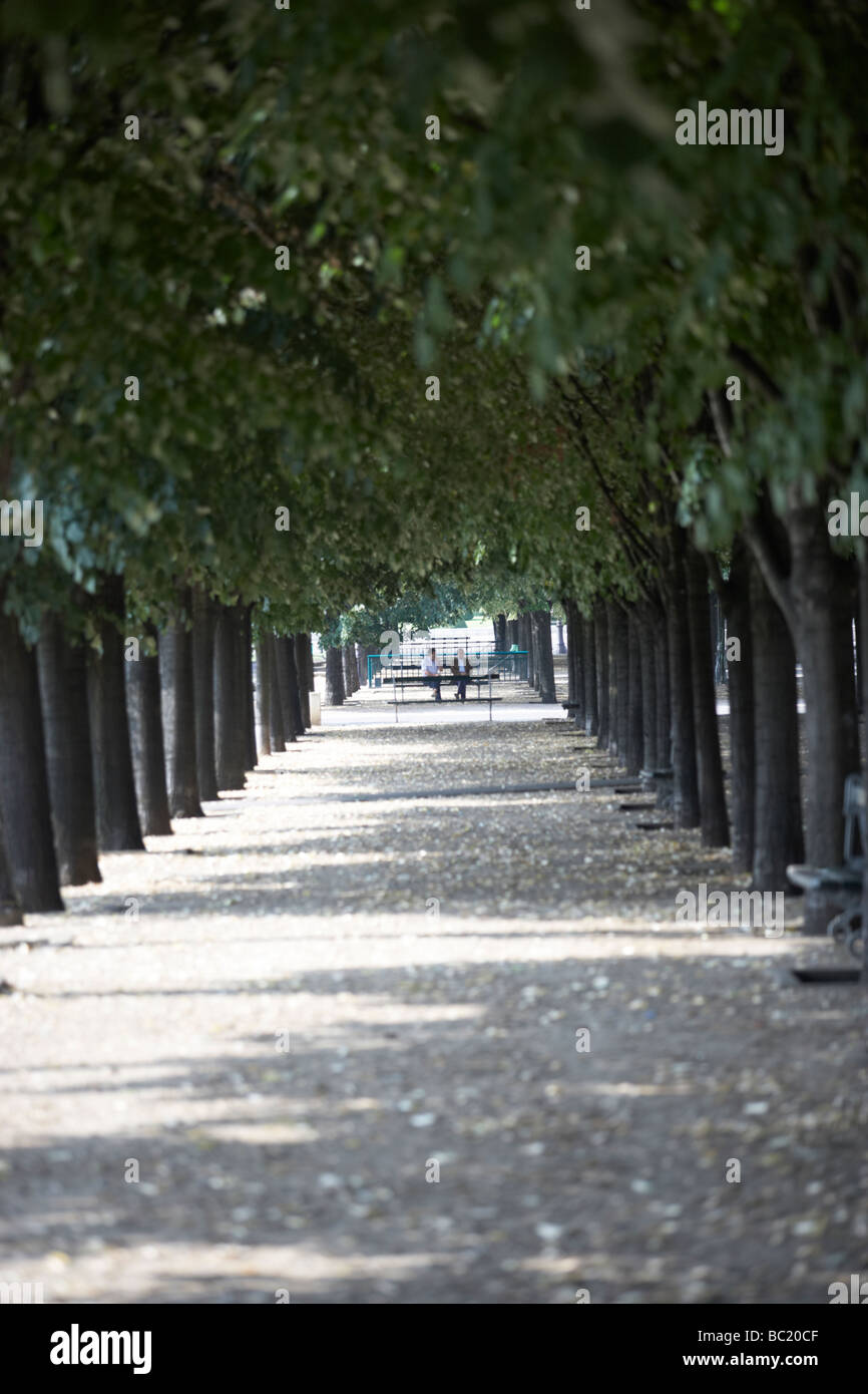 Tree lined boulevard hi-res stock photography and images - Alamy