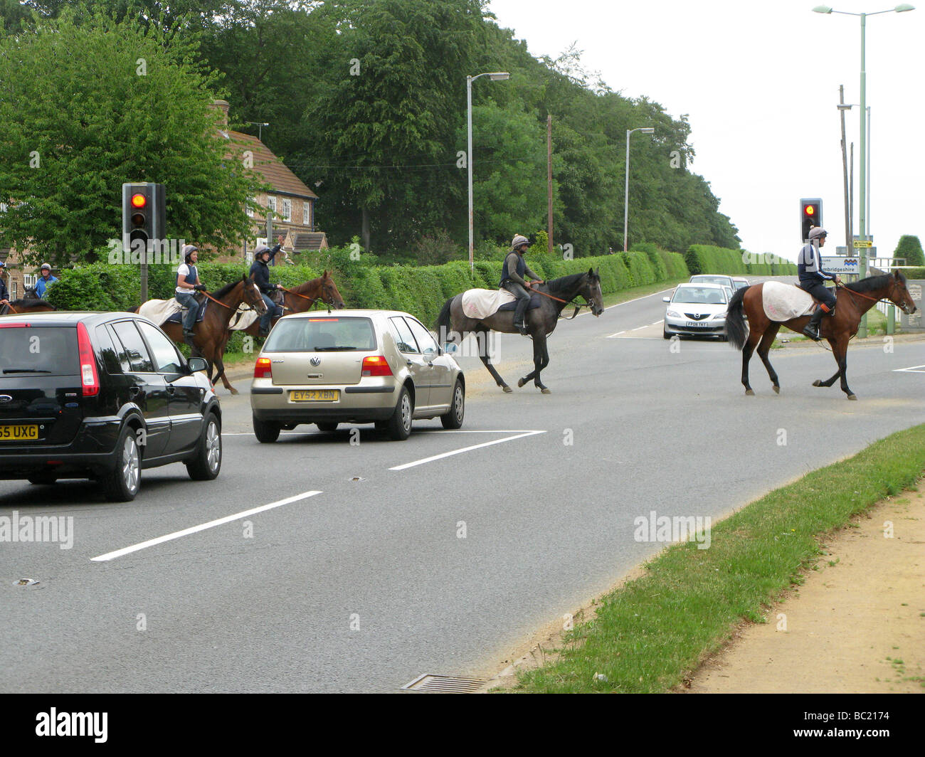 Everything stops for the horses in Newmarket, headquarters of the horse ...