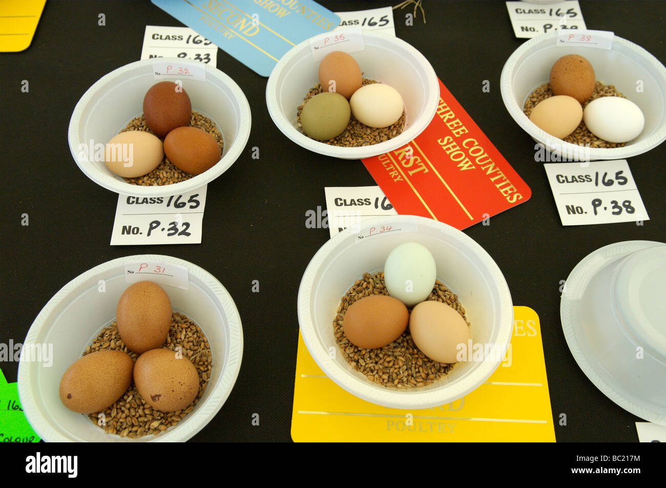 Eggs in competition at the Three Counties Show, Malvern Stock Photo - Alamy